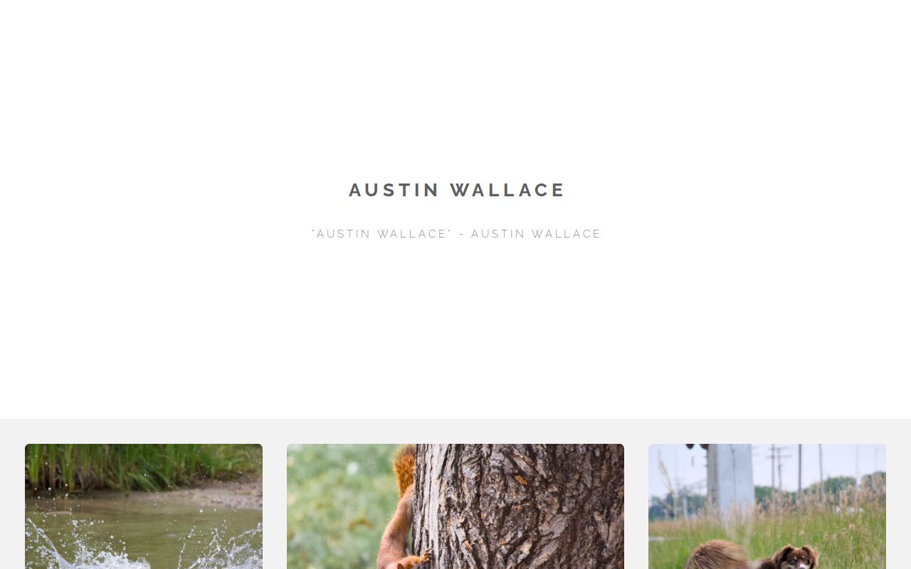 Austin Wallace